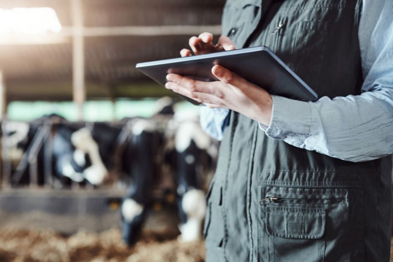 LPG Gas for Commercial and Industry Businesses | Calor