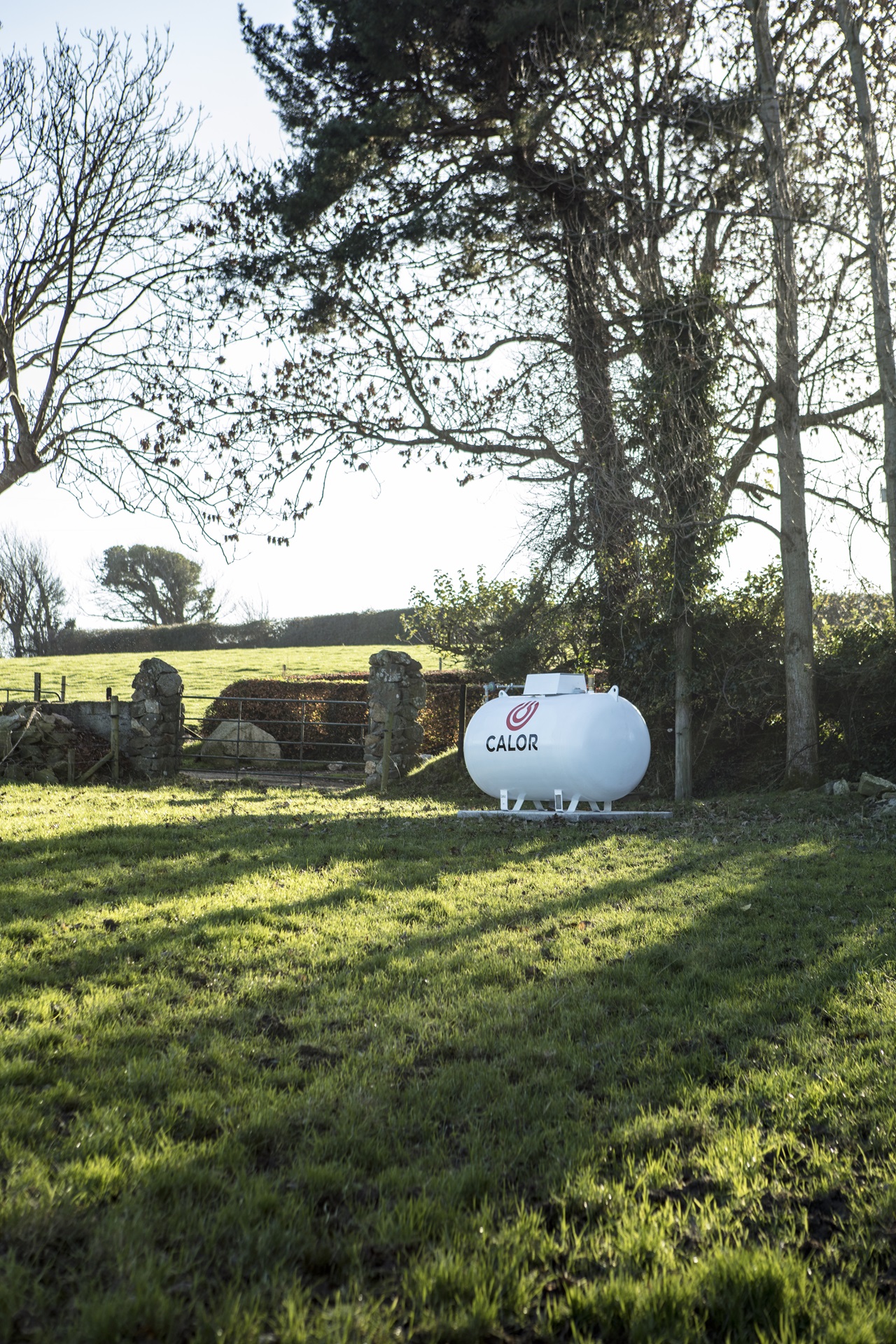 LPG Gas Storage in Your Home, LPG Tanks & Cylinders | Calor