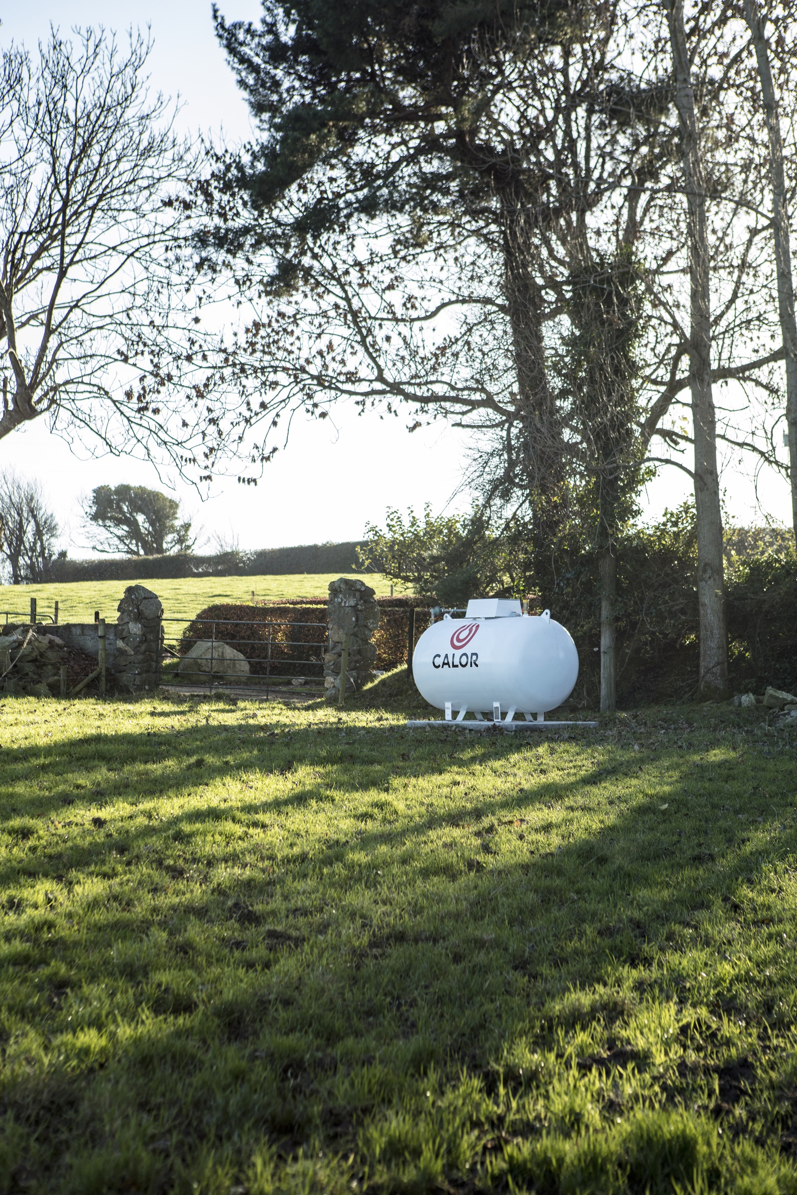 LPG Gas Storage in Your Home, LPG Tanks & Cylinders | Calor